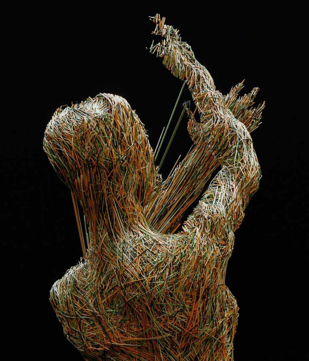 Email Design - Jared LaRock Portfolio